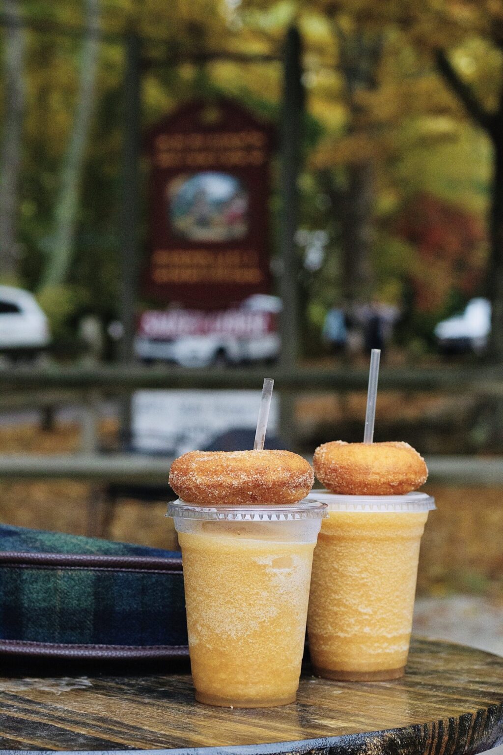 5 Favorite Fall Connecticut Towns to Visit | Kristy & New England