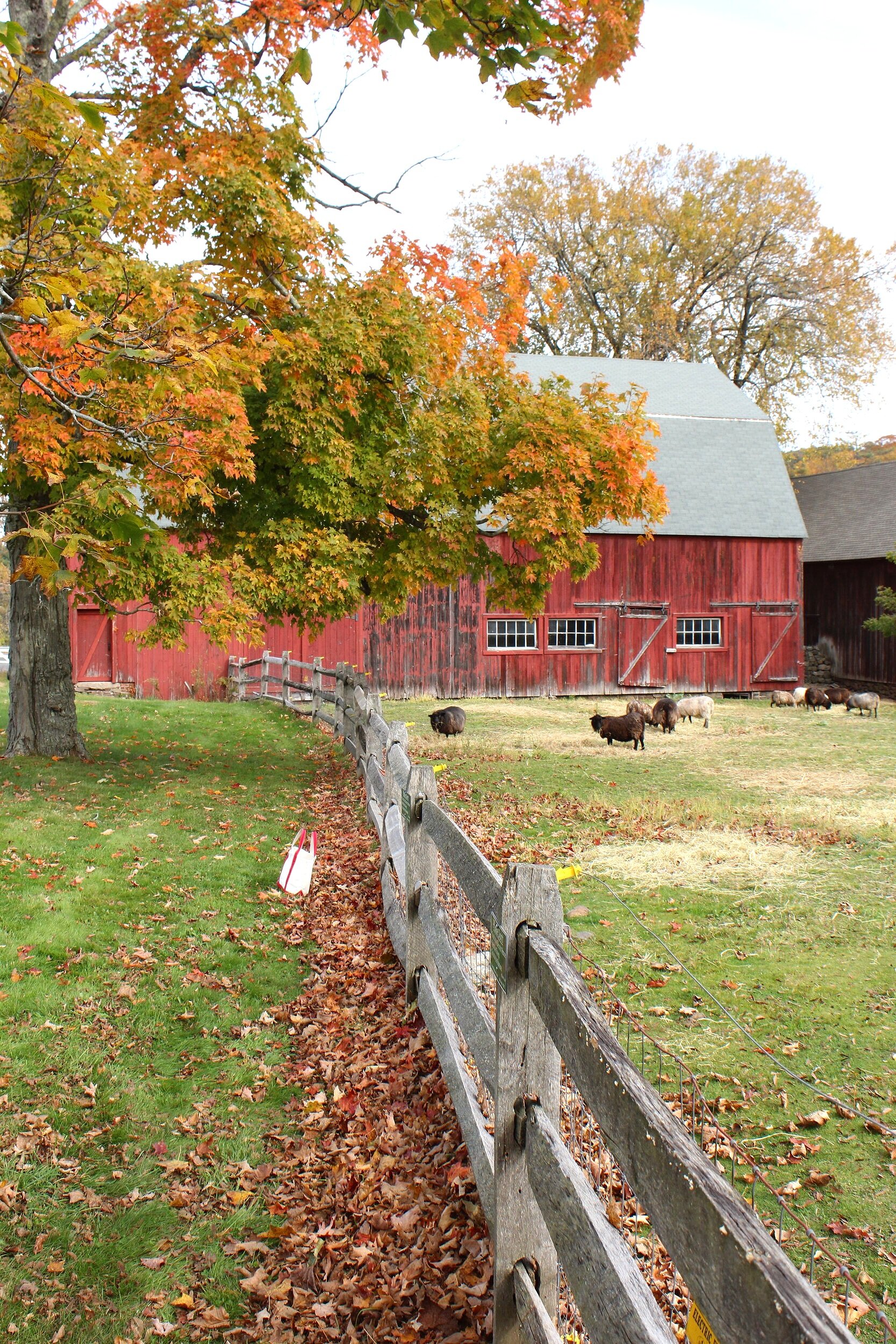 5 Favorite Fall Connecticut Towns to Visit | Kristy & New England