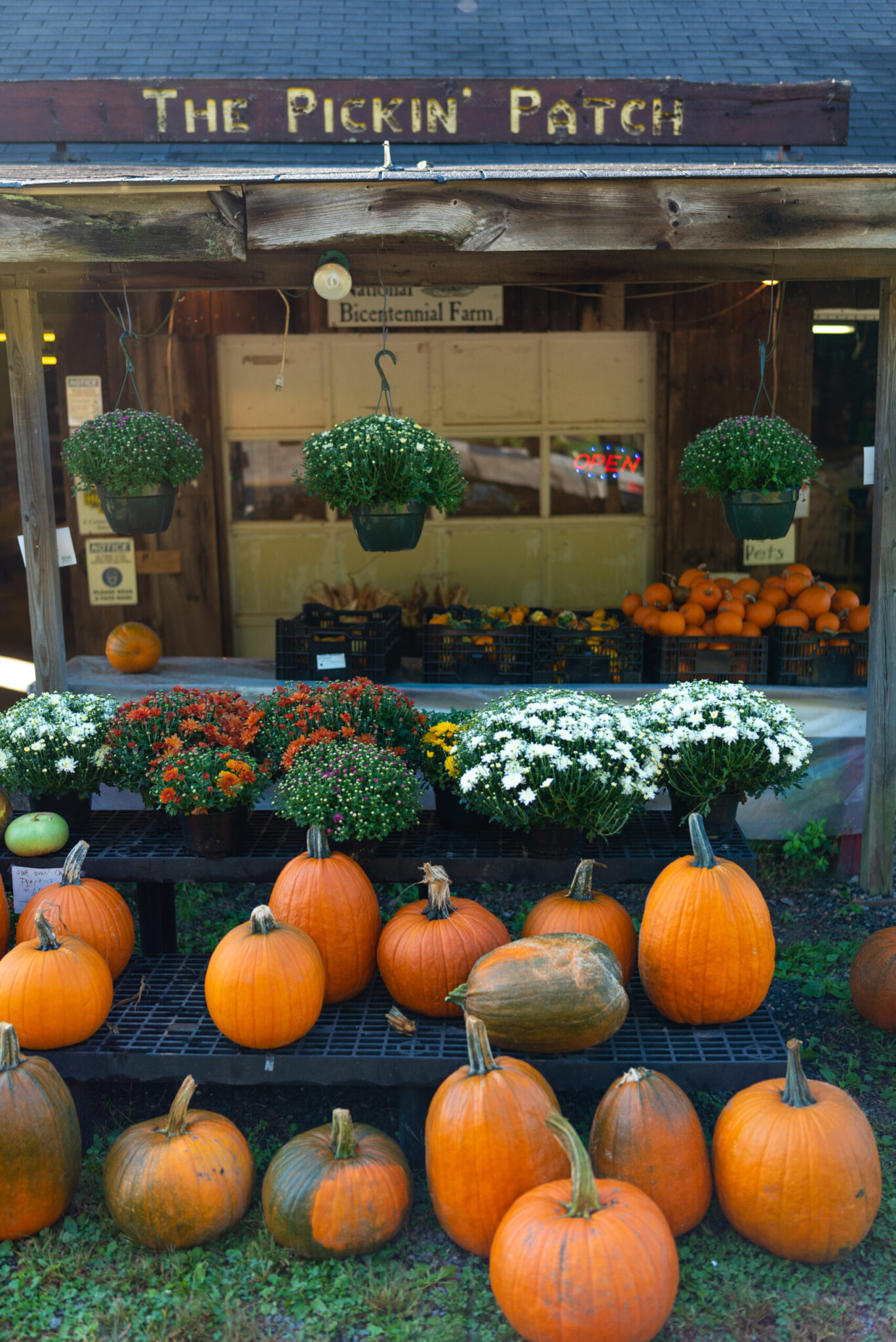 5 Favorite Fall Connecticut Towns to Visit | Kristy & New England