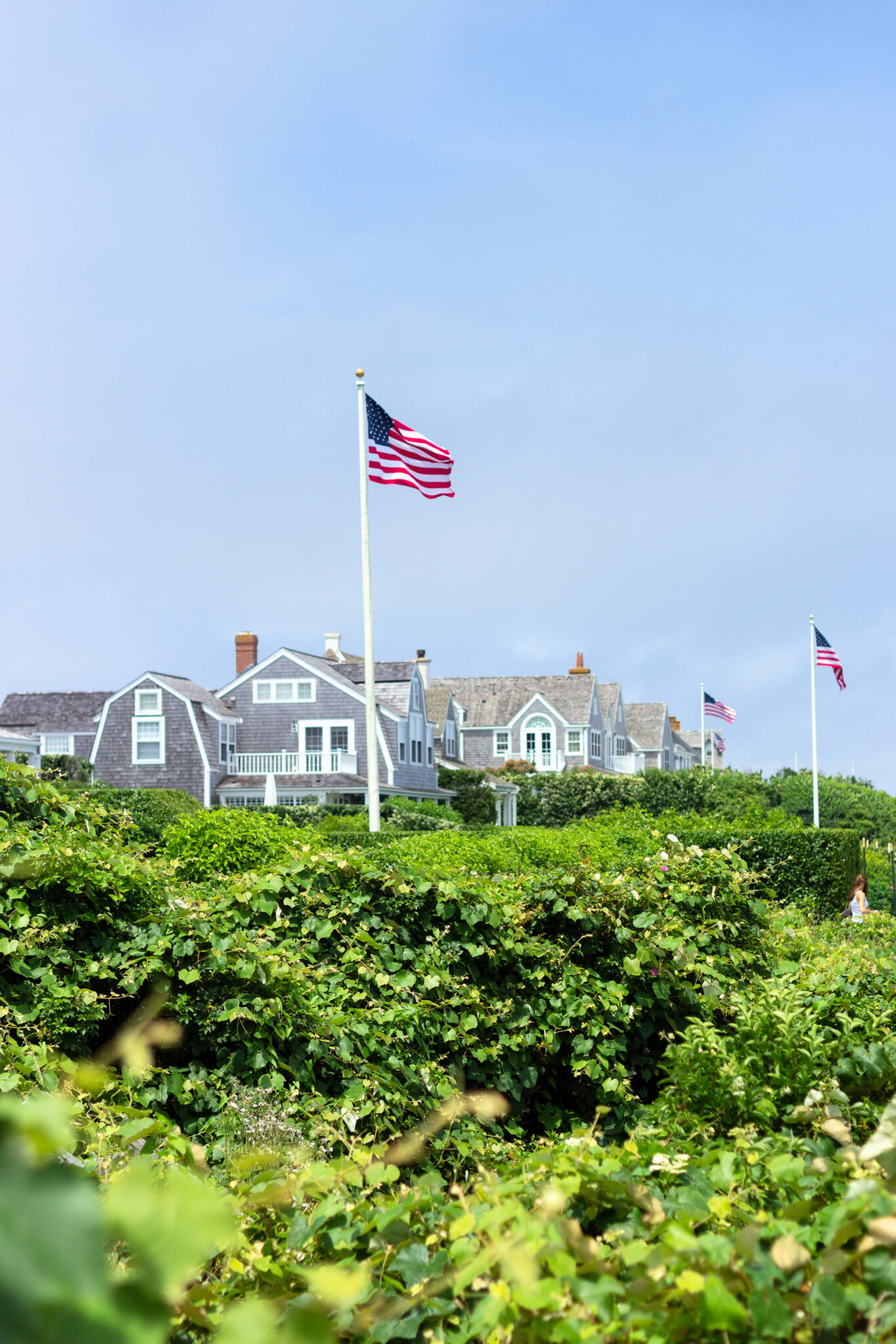 Nantucket in July Photo Gallery | Kristy & New England