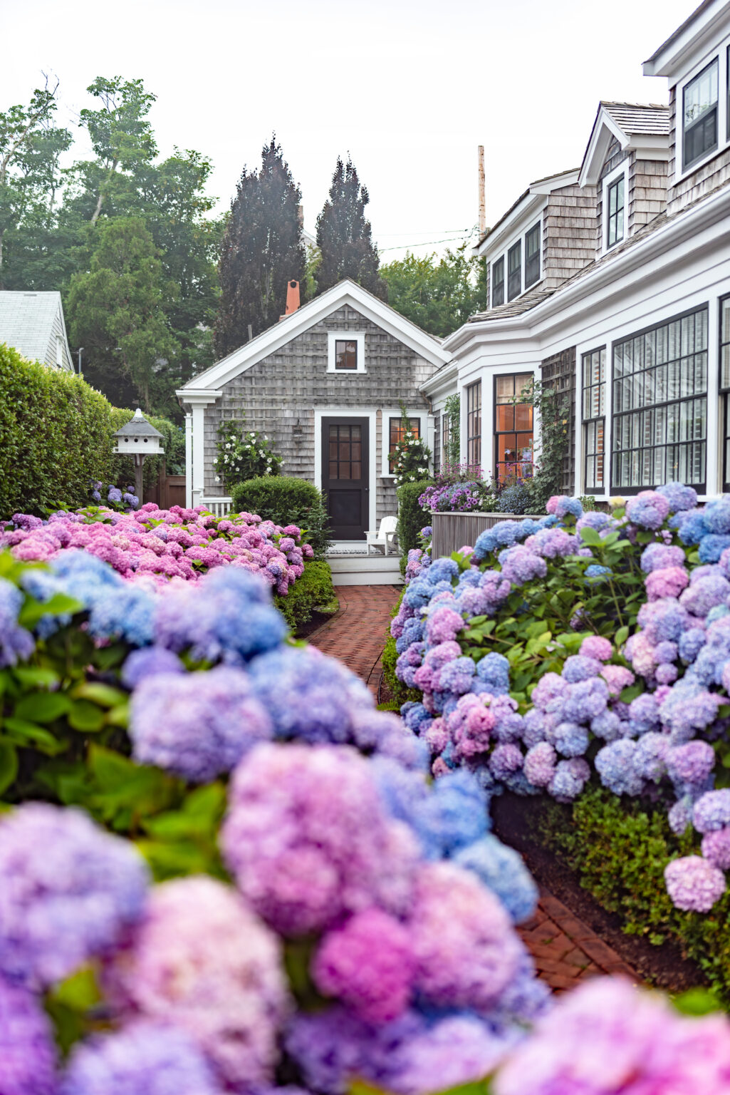 Nantucket in July Photo Gallery | Kristy & New England