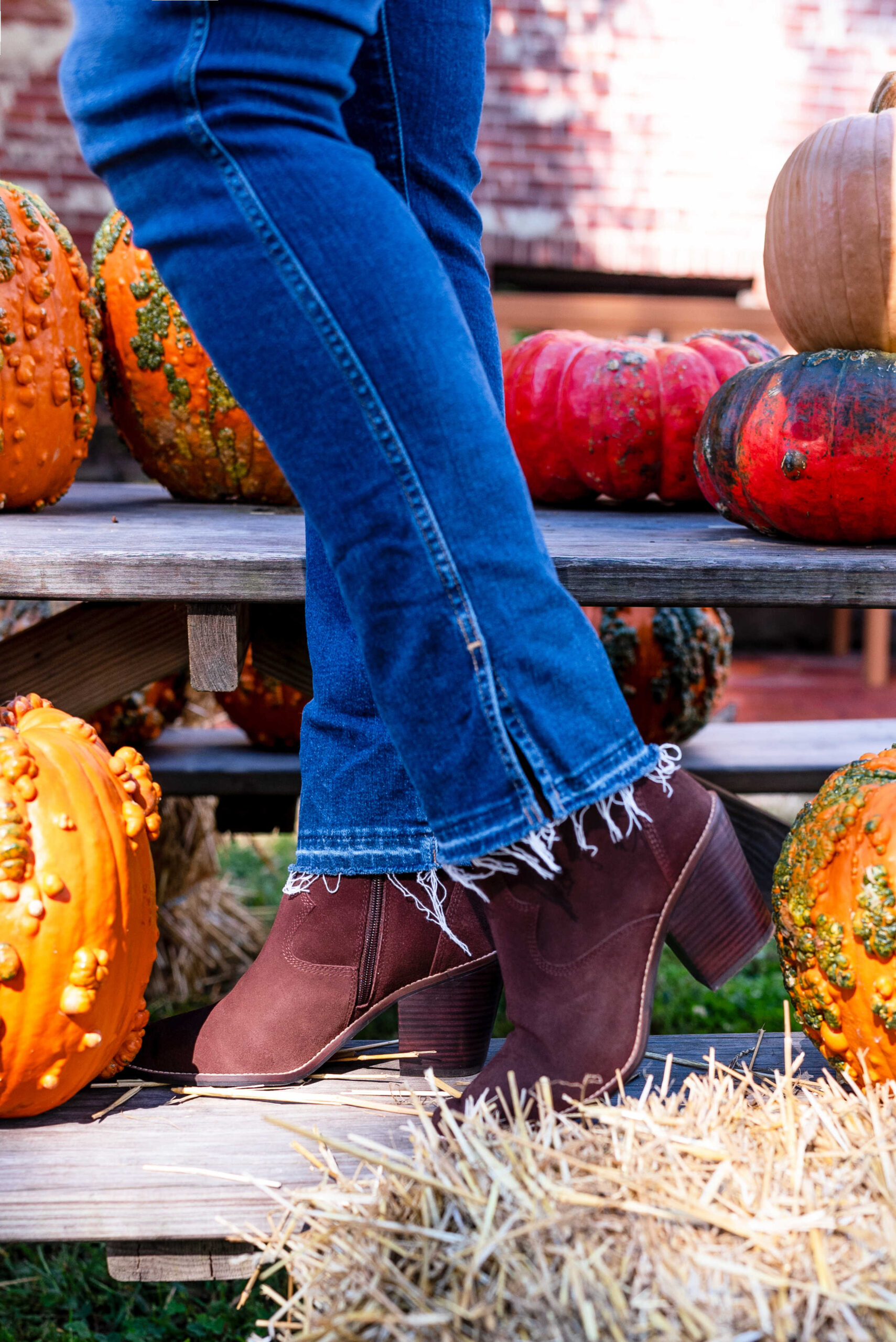 Fall with Draper James | Kristy & New England